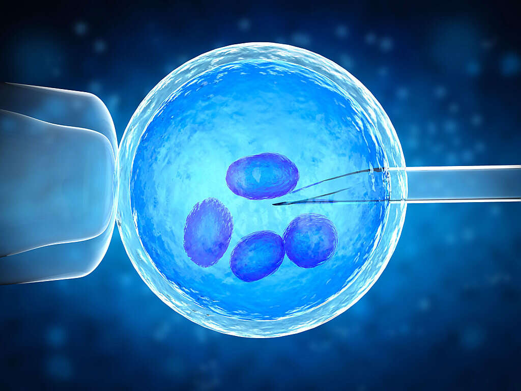 France Legalizes Ivf For Single Women Lesbians